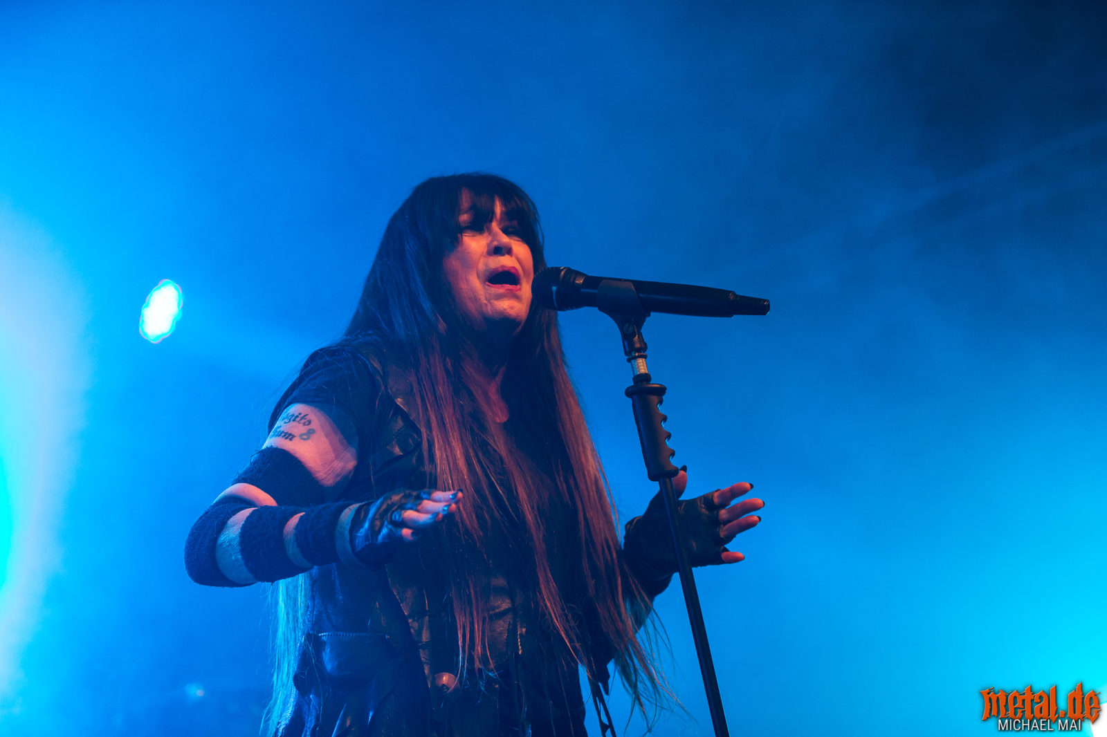 Velvet Viper - Tour 2020 • metal.de