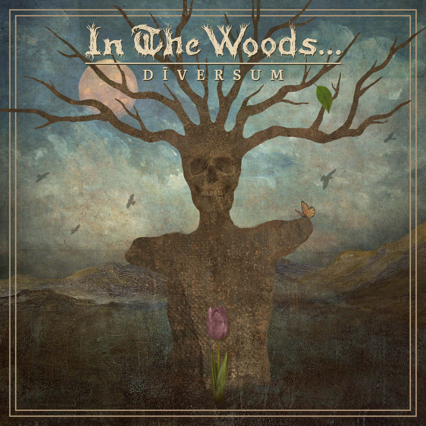 IN THE WOODS ... - Otra - die Review auf metal.de