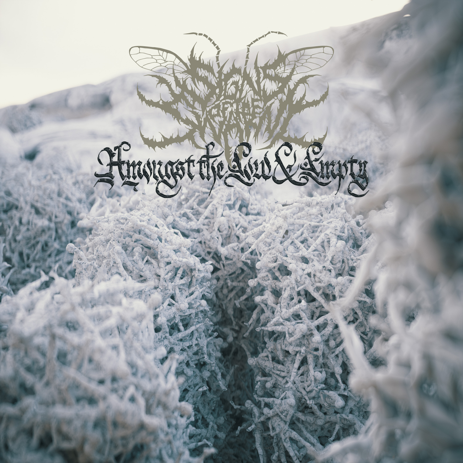Signs Of The Swarm - Details zum neuen Album und neues Video • metal.de