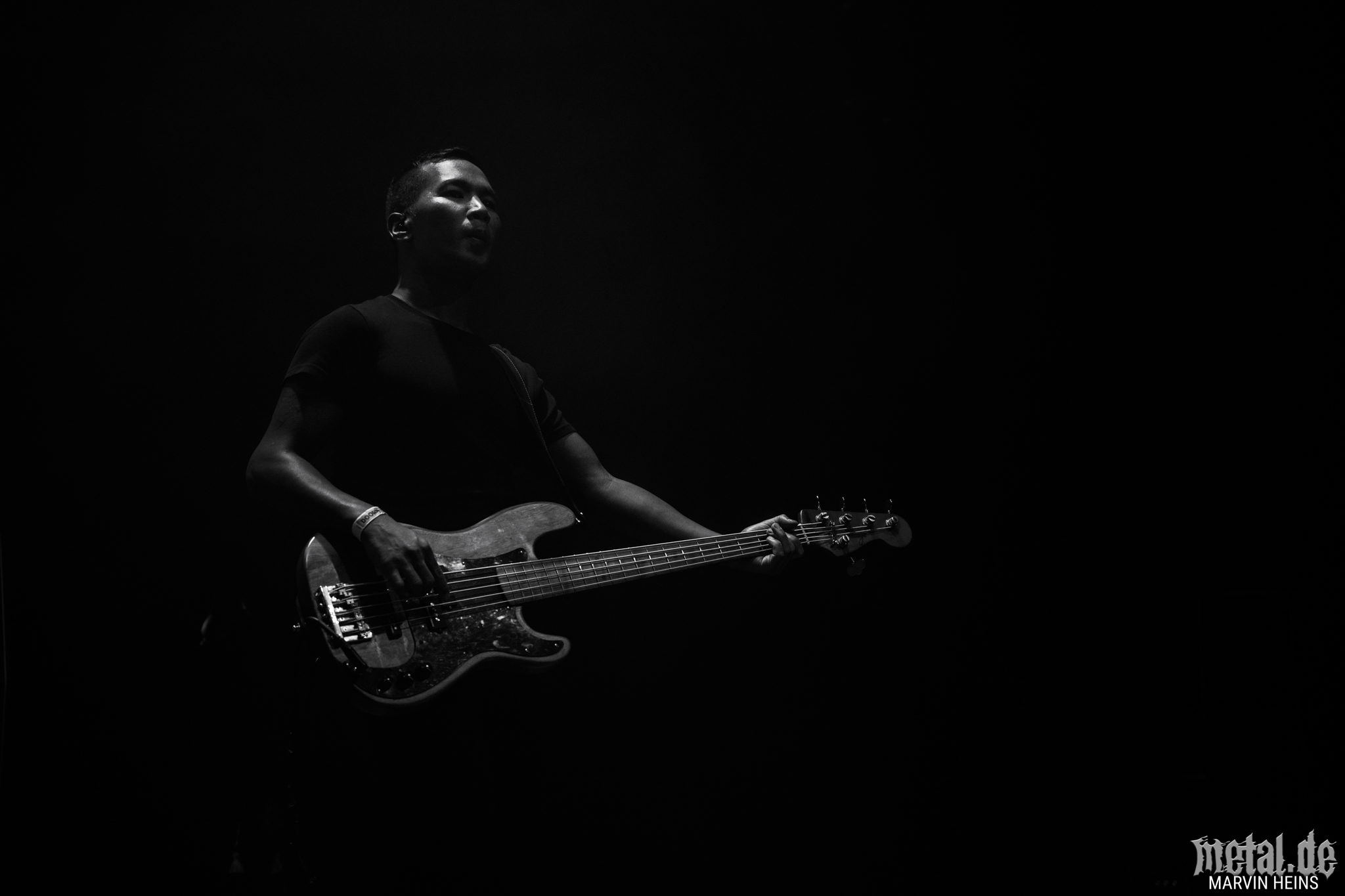 Alcest - Les Chants De L'Aurore Review • metal.de