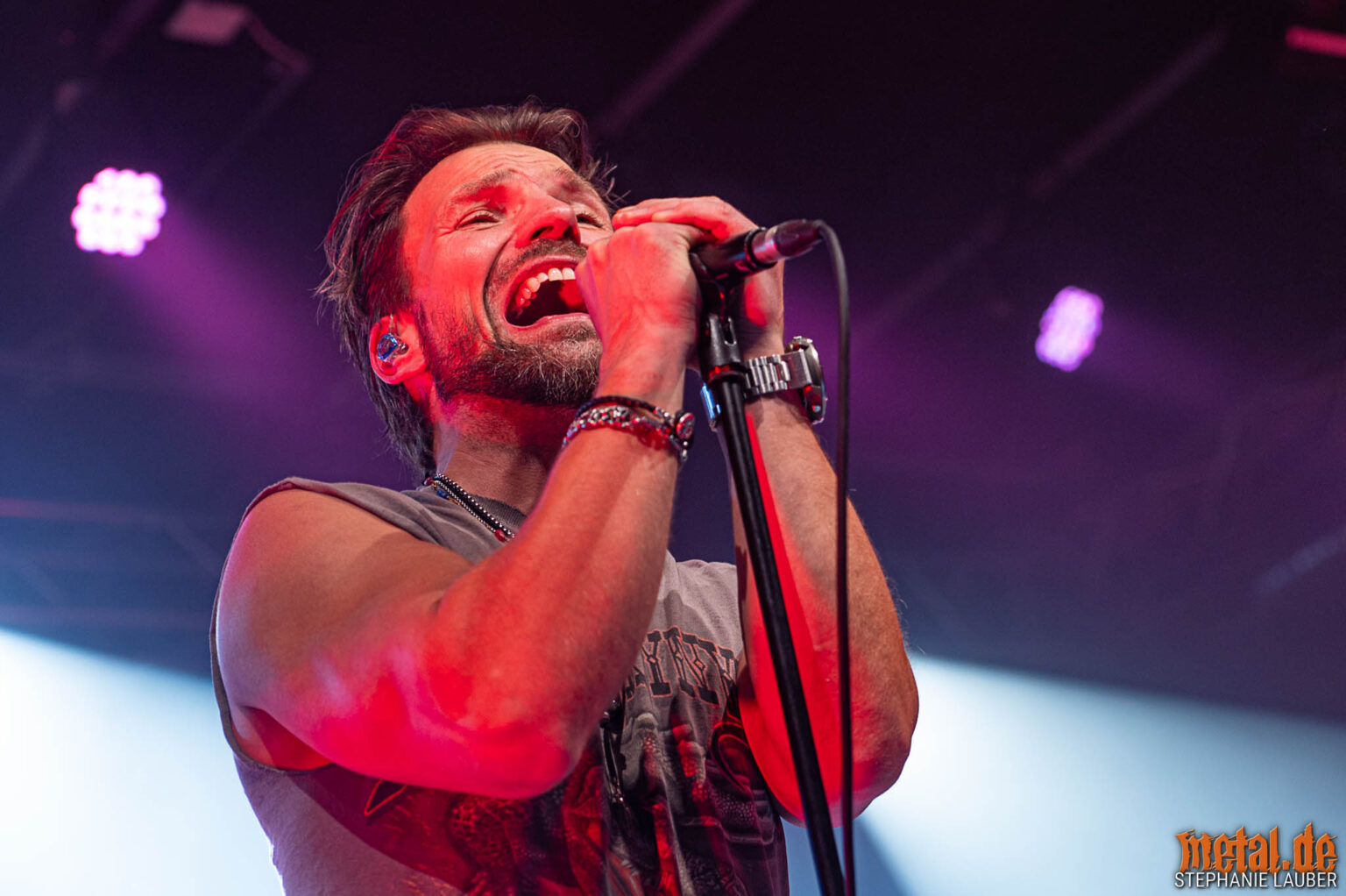 The New Roses – Attacted To Danger – Hard Rock Review • metal.de