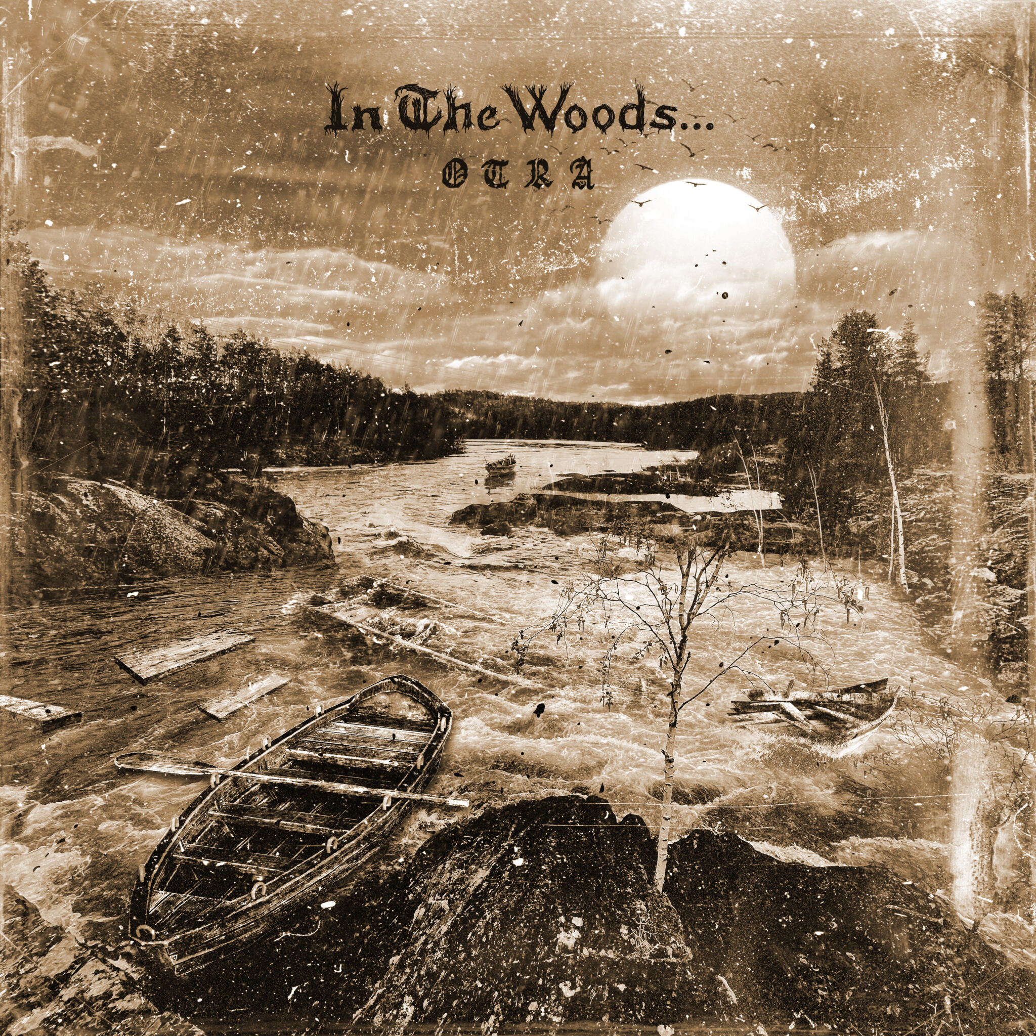 IN THE WOODS ... - Otra - die Review auf metal.de